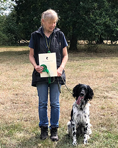 GUNDOG GRADES - Dog Help