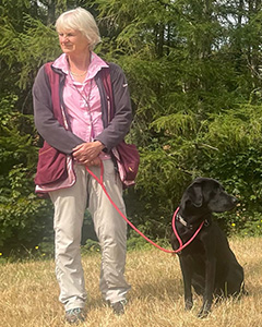 GUNDOG GRADES - Dog Help